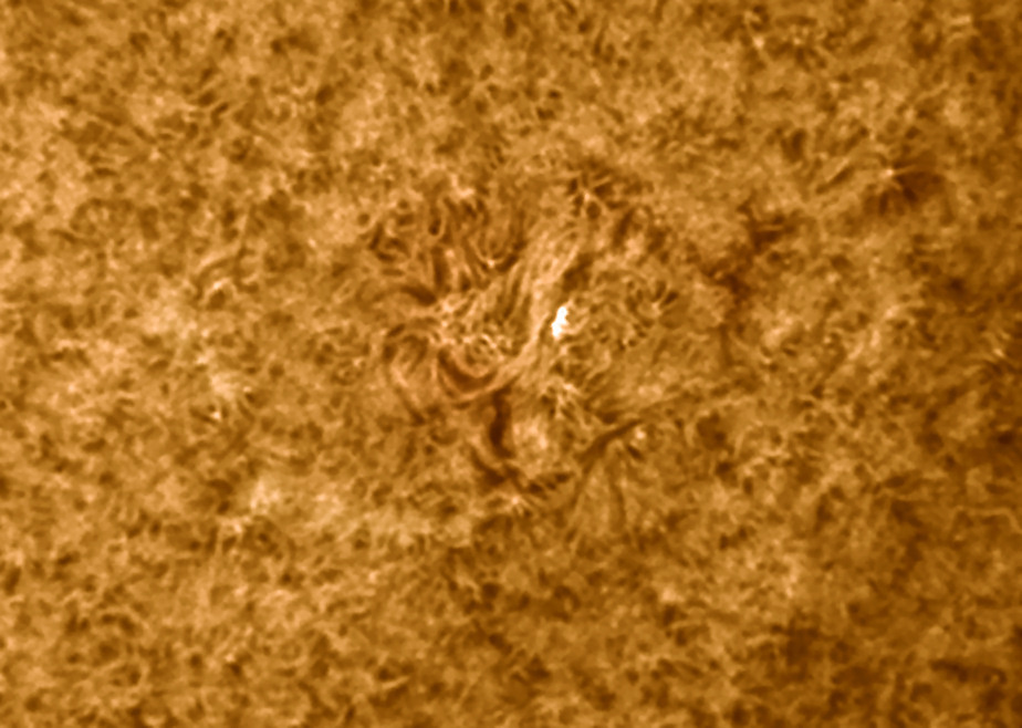 Skynyx - The revenge - AR11000 and lots of proms - Solar Observing and ...